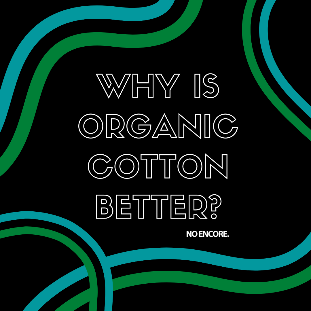 WHY IS ORGANIC COTTON BETTER? – No Encore.
